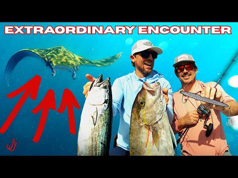 RARE Giant Manta Ray, Sharked Almaco & Unpainted Jigs CRUSH Fish | South Florida Offshore