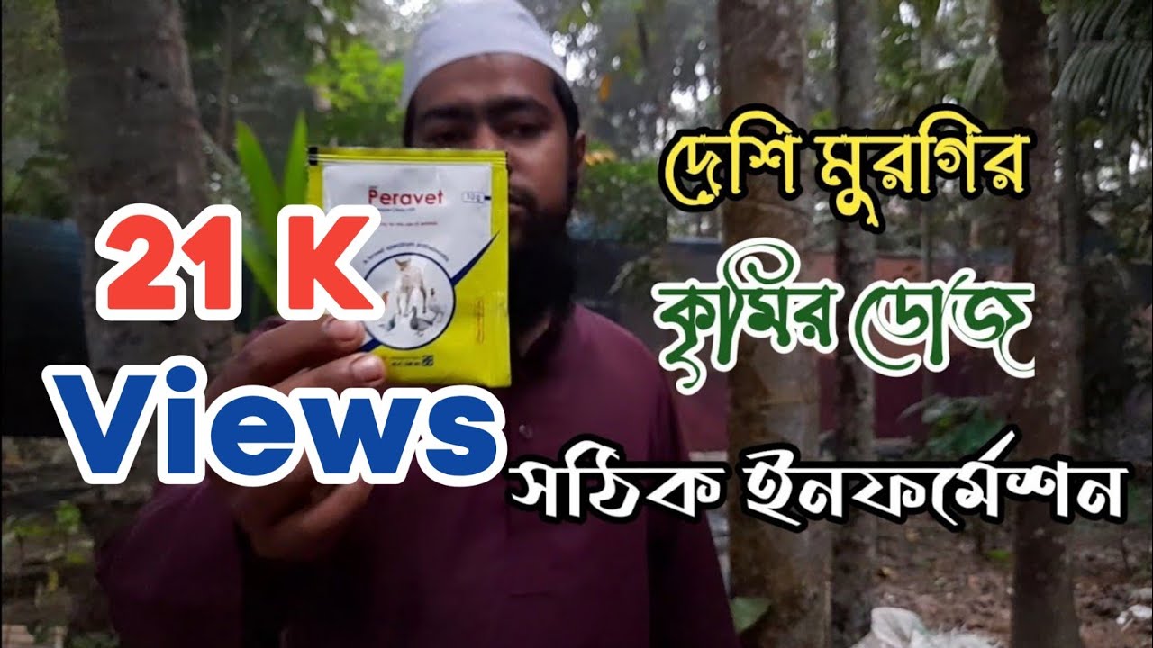 দেশি মুরগিকে কৃমির ওষুধ খাওয়ানোর নিয়ম || Peravet || পেরাভেট ...