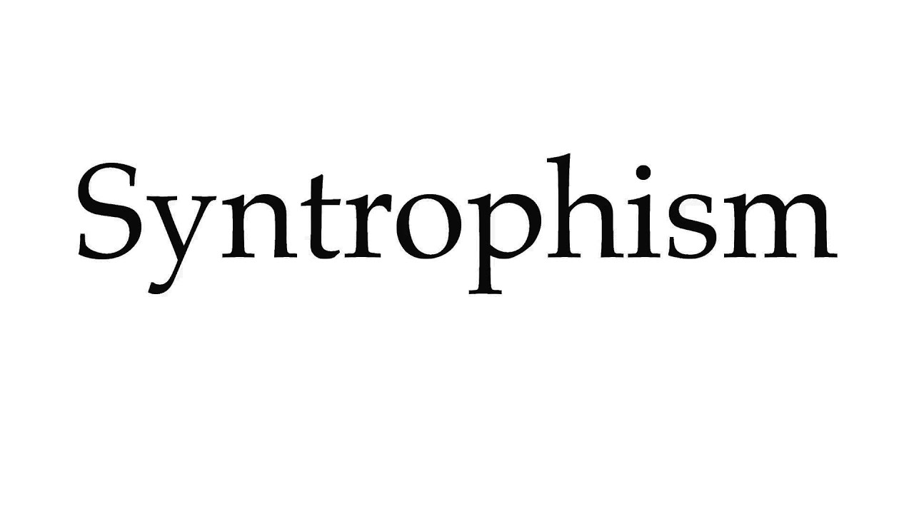 How to Pronounce Syntrophism - YouTube