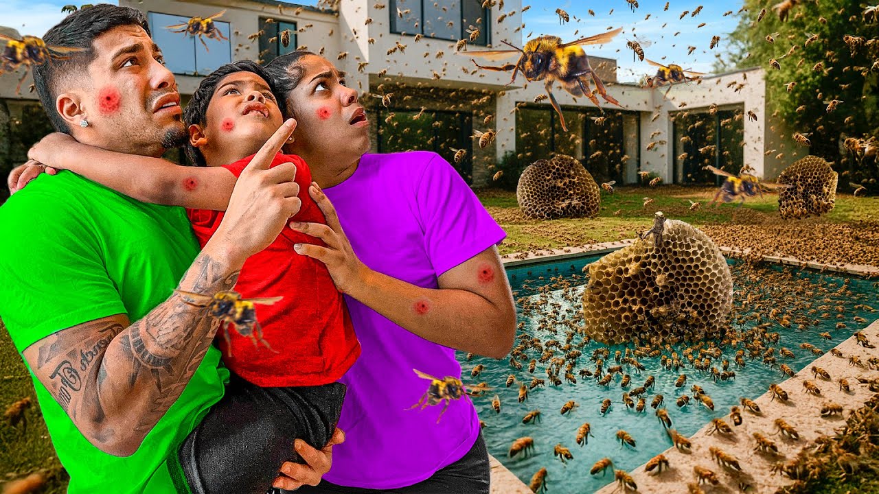 Our House Is INFESTED With BEES! - YouTube