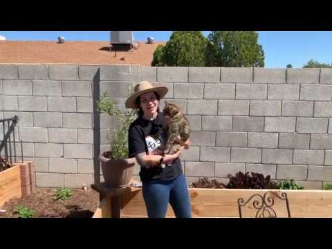 A Message from Ms. Mikayla! - YouTube