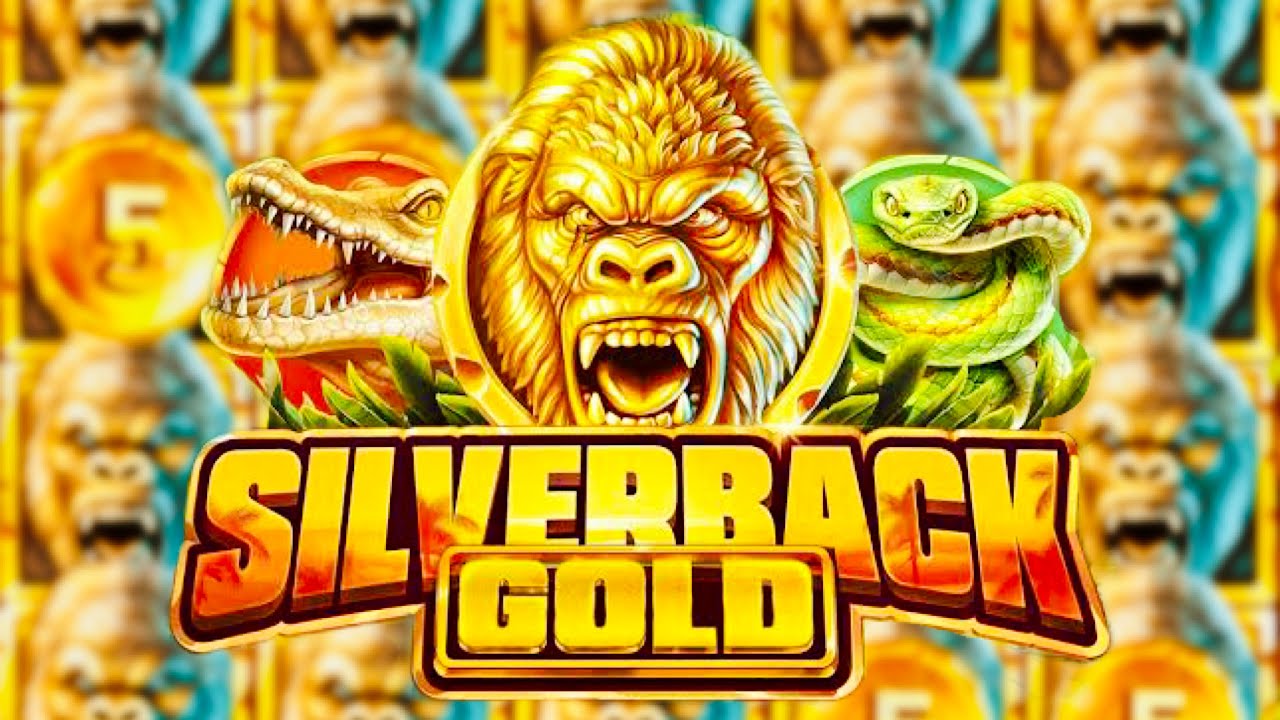Kabado part 2 😂 | Silverback Gold Buy Bonus | Netent | MW Gaming | Casino | - YouTube