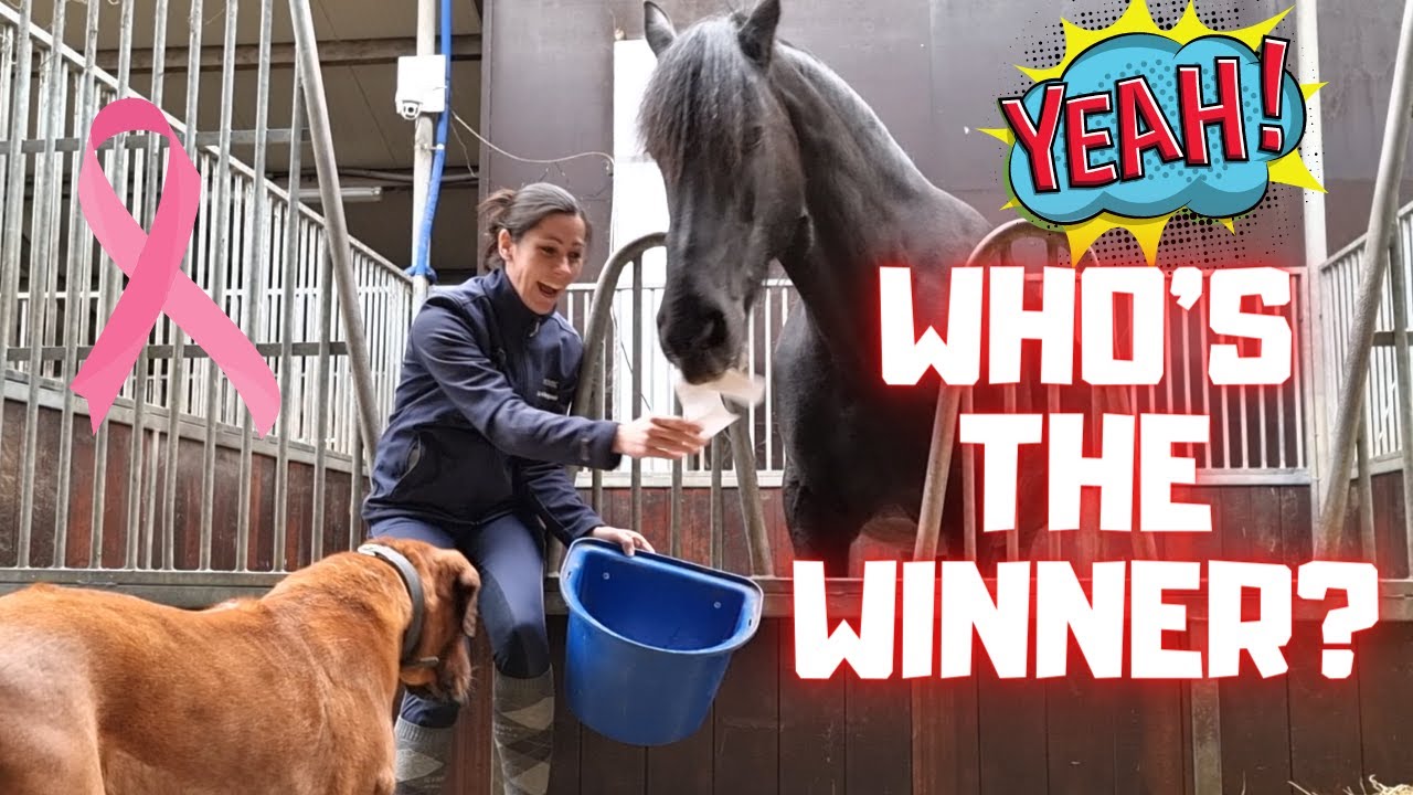 Who is the winner of the giveaway. Queen👑Uniek decides! | Friesian ...