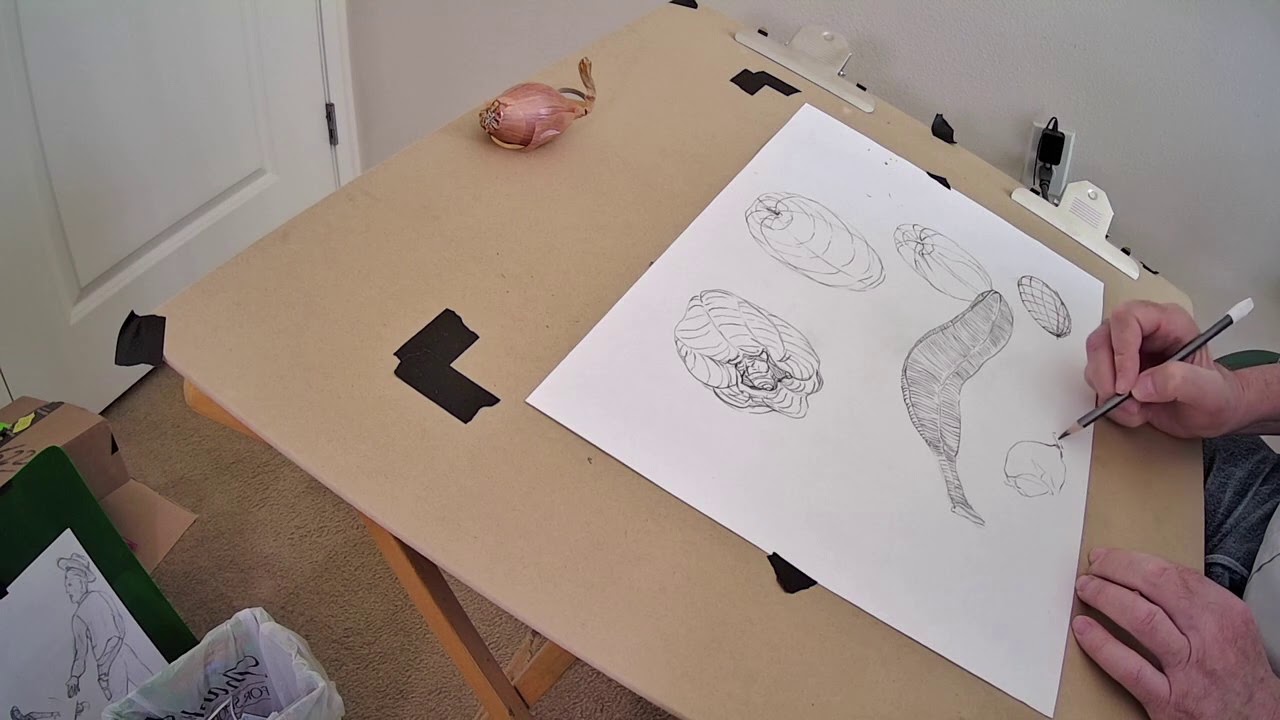 Cross Contour Line Drawing of Objects - YouTube