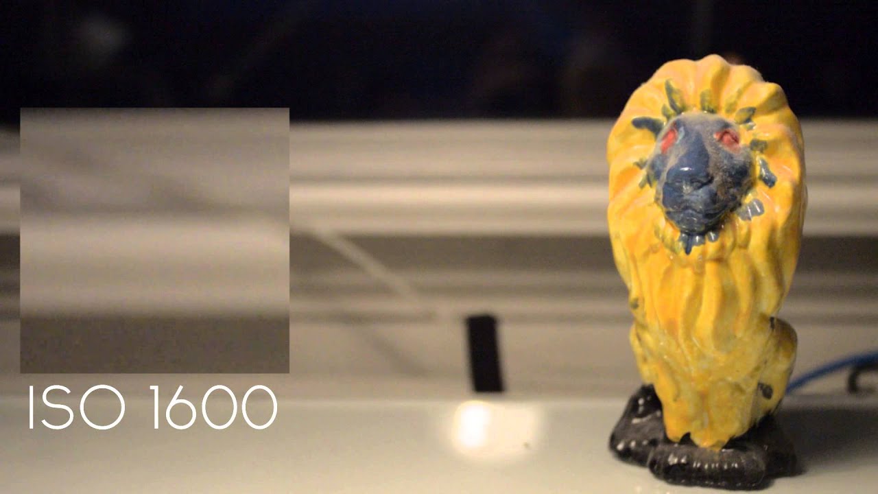 Nikon D3200 ISO Sensitivity Tests - YouTube