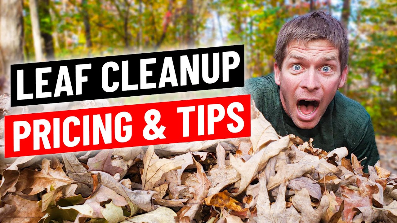 How To Price Leaf Removal Easiest Way With Hot Tips For The Job YouTube how-to-price-leaf-removal-easiest-way-with-hot-tips-for-the-job-youtube