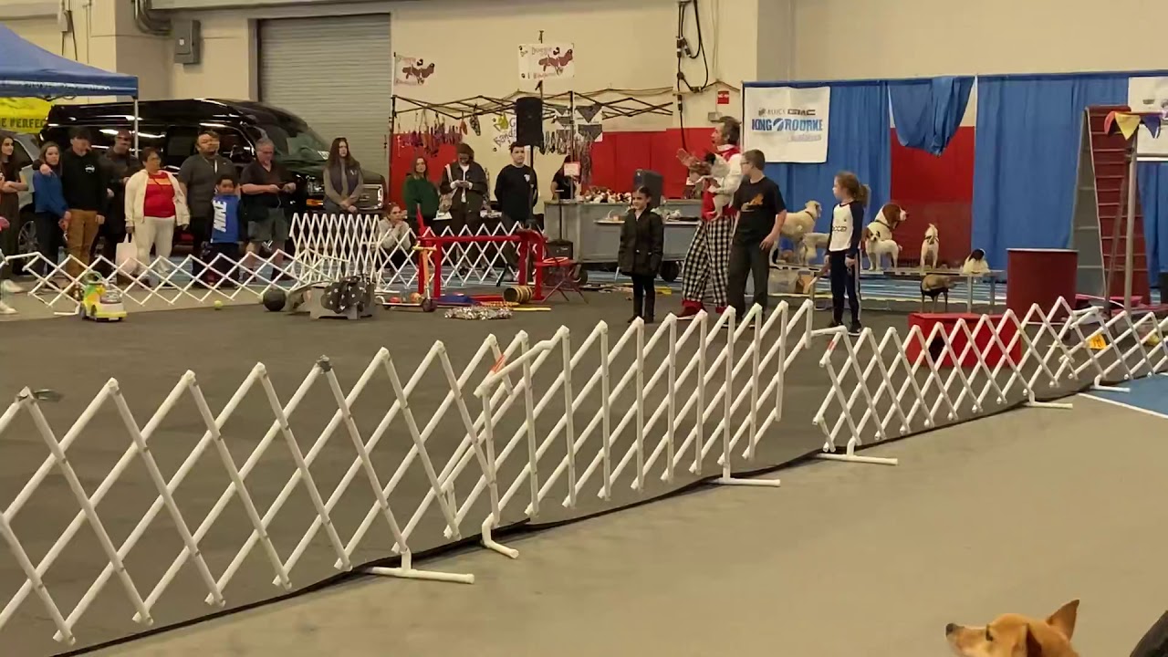 Maddy moo at the expo - YouTube