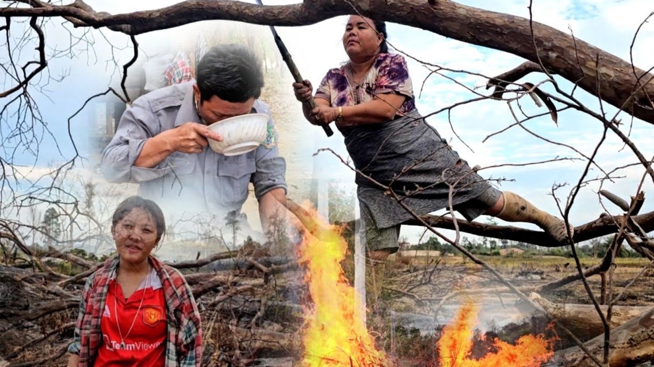 Rau2 siab ua teb tsam los nag 24 ກຸມພາ 2025 - YouTube