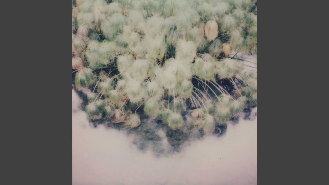 the temporal existence of memories as blossom - YouTube