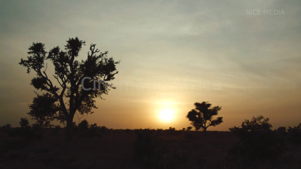 Africa Niger sunset 1080P 아프리카 영상 - YouTube