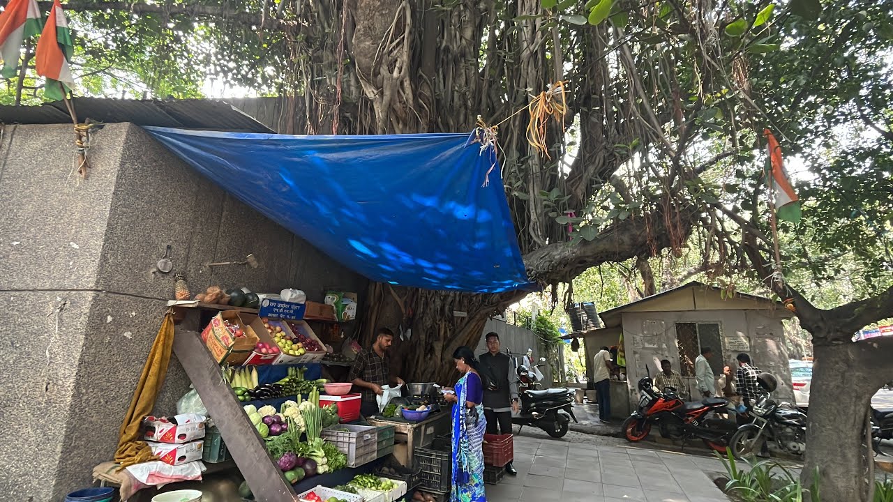 BELI BUAH DI BAWAH POHON DEWA INDIA!! UMUR POHON SUDAH RATUSAN TAHUN ...