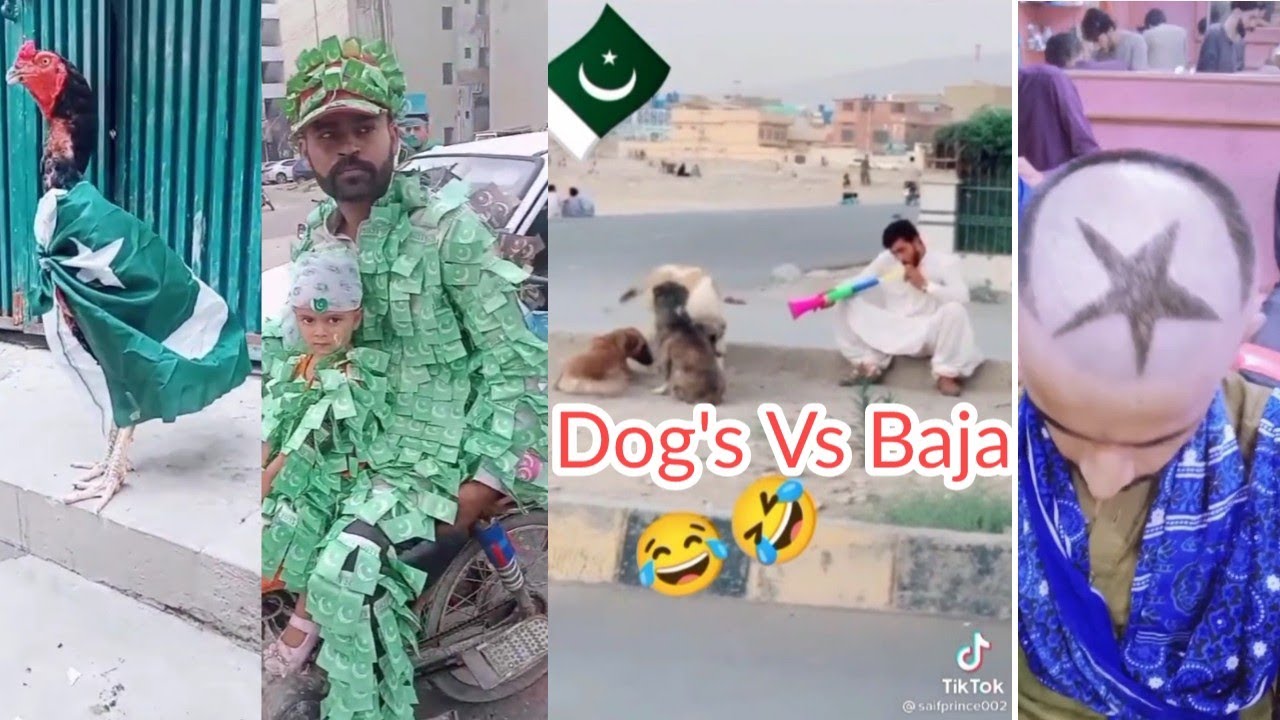 14 August Funny Tiktok Compilation | Azadi Status | Jash E Azadi tiktok ...