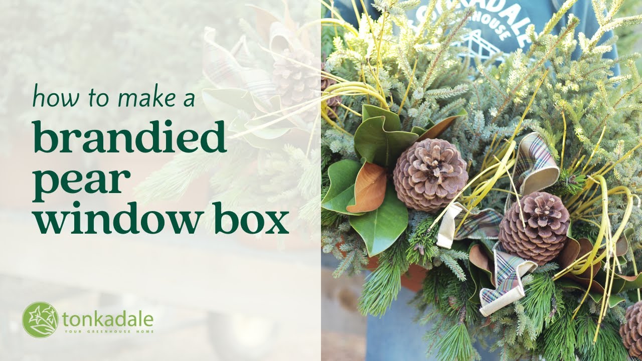 How to Make Brandied Pear Window Box - YouTube