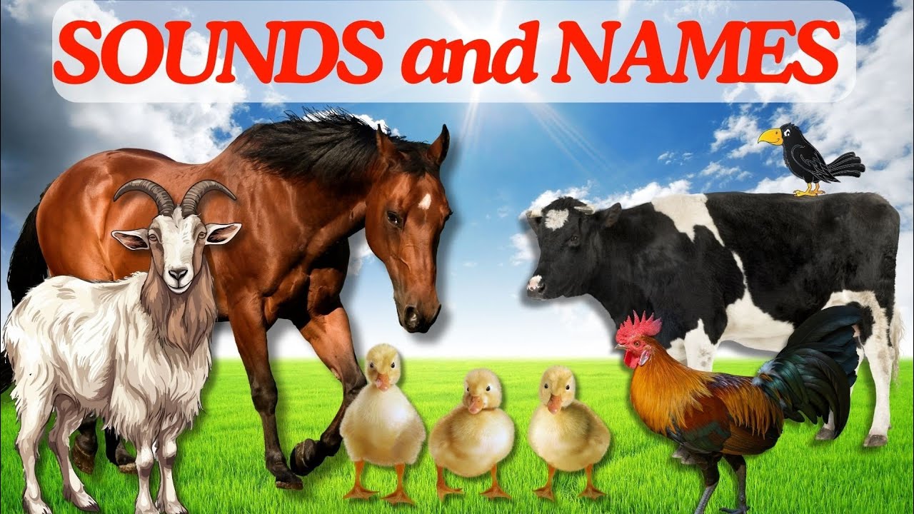 Animal Names And Sounds for Kids|Kids Educational Video - YouTube