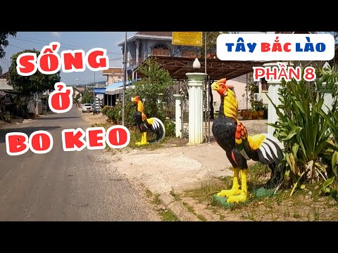 TÂY BẮC LÀO - Phần 8: BOKEO - Vùng đất chưa bị \