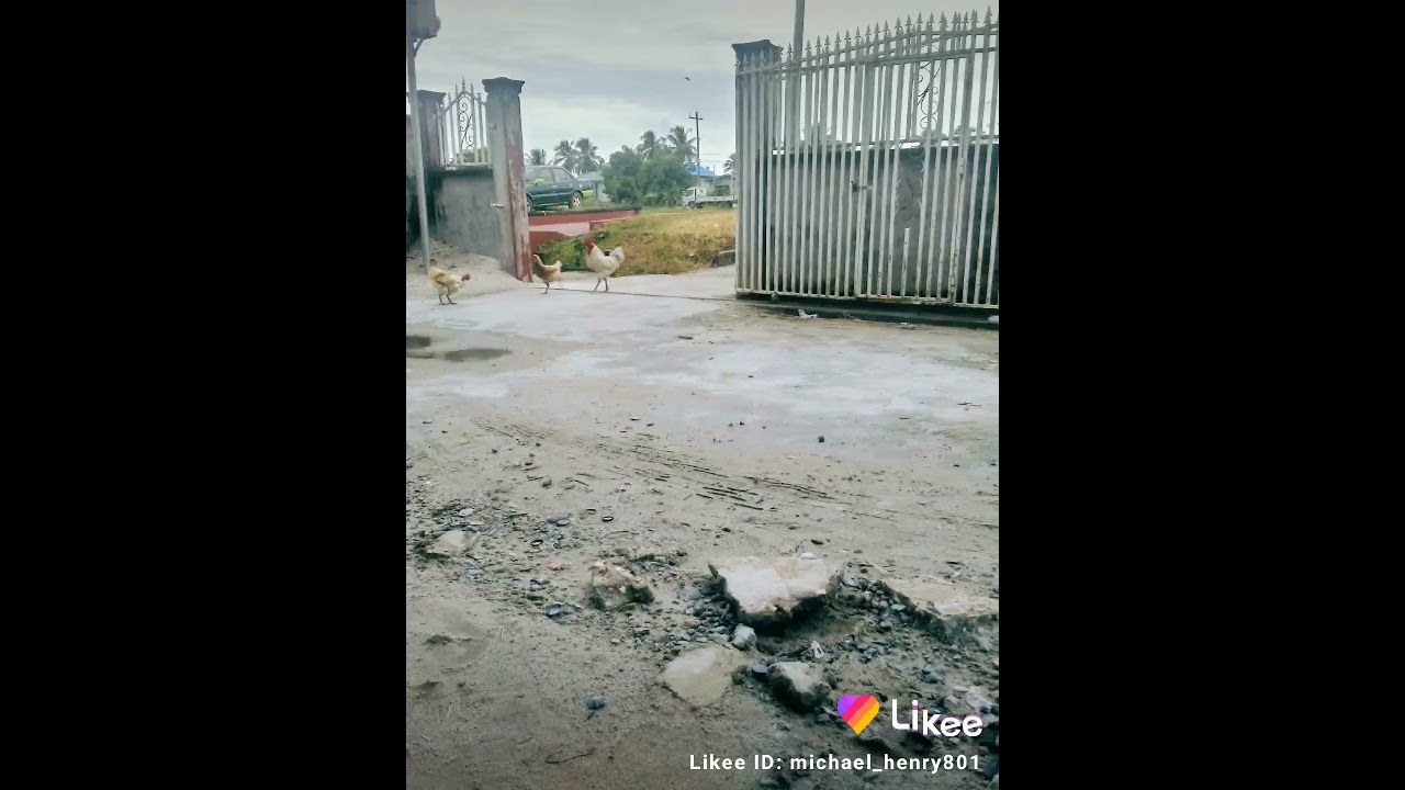 ea johnson tv - YouTube