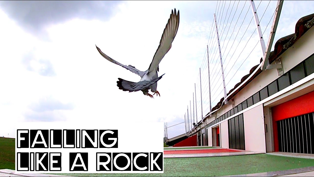 Vlog #71 FALLING Like A Rock From 408km/283mi Race - YouTube