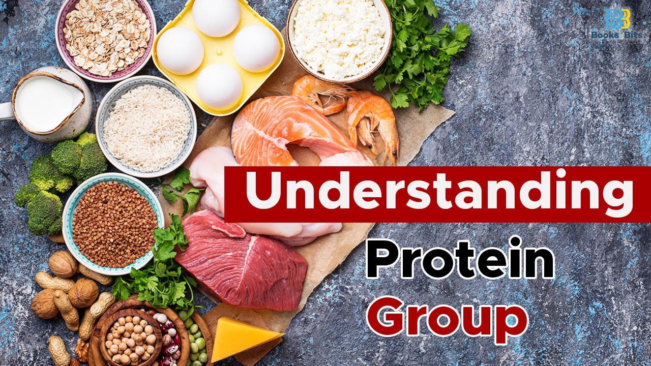 Understanding Proteins Group - Understanding Nutrition - YouTube