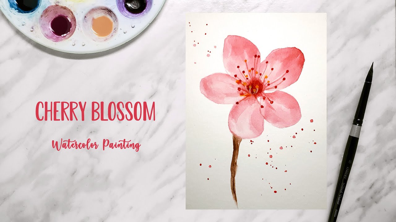 CHERRY BLOSSOM Watercolor | How to paint cherry blossom | step by step ...