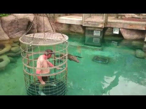 White man and crocodile