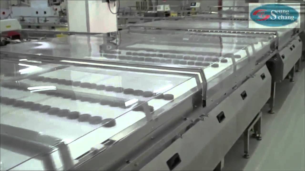 Chocolate Conveyor line system - YouTube