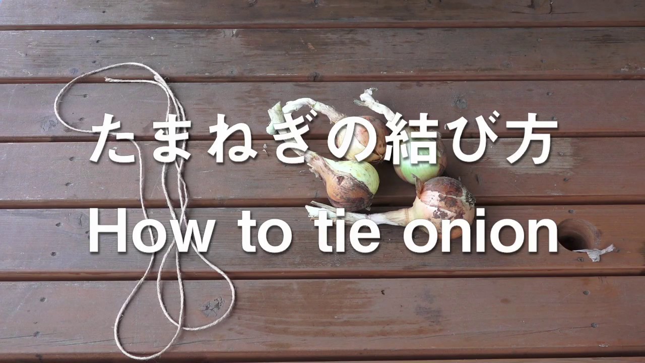 玉ねぎの結び方-How to tie onion - YouTube
