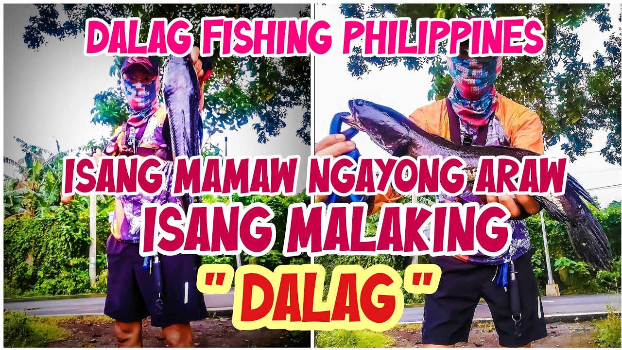 Dalag Fishing Philippines isang Mamaw nanaman buti humupa na ang ulan ...