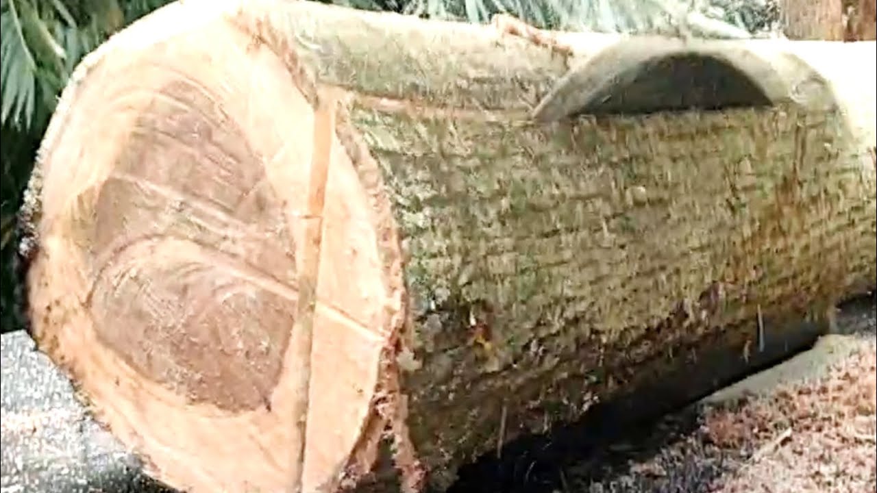 proses detail penggergajian kayu waru bahan balok digergaji mesin ...
