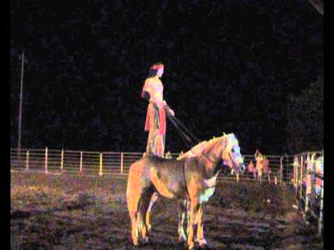 Erick Horse Show: spettacoli equestri, posta ungherese - YouTube
