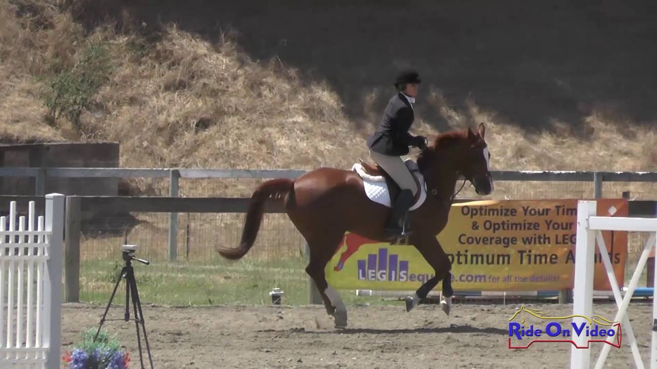 186S Jacqueline Carson Bohrer on Less Is More JR Beg. Novice Show ...