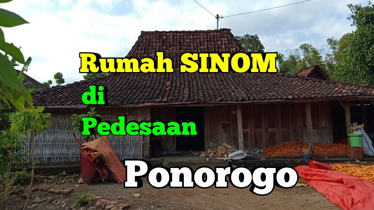 RUMAH SINOM ADAT PONOROGO di pelosok desa Sawoo - YouTube