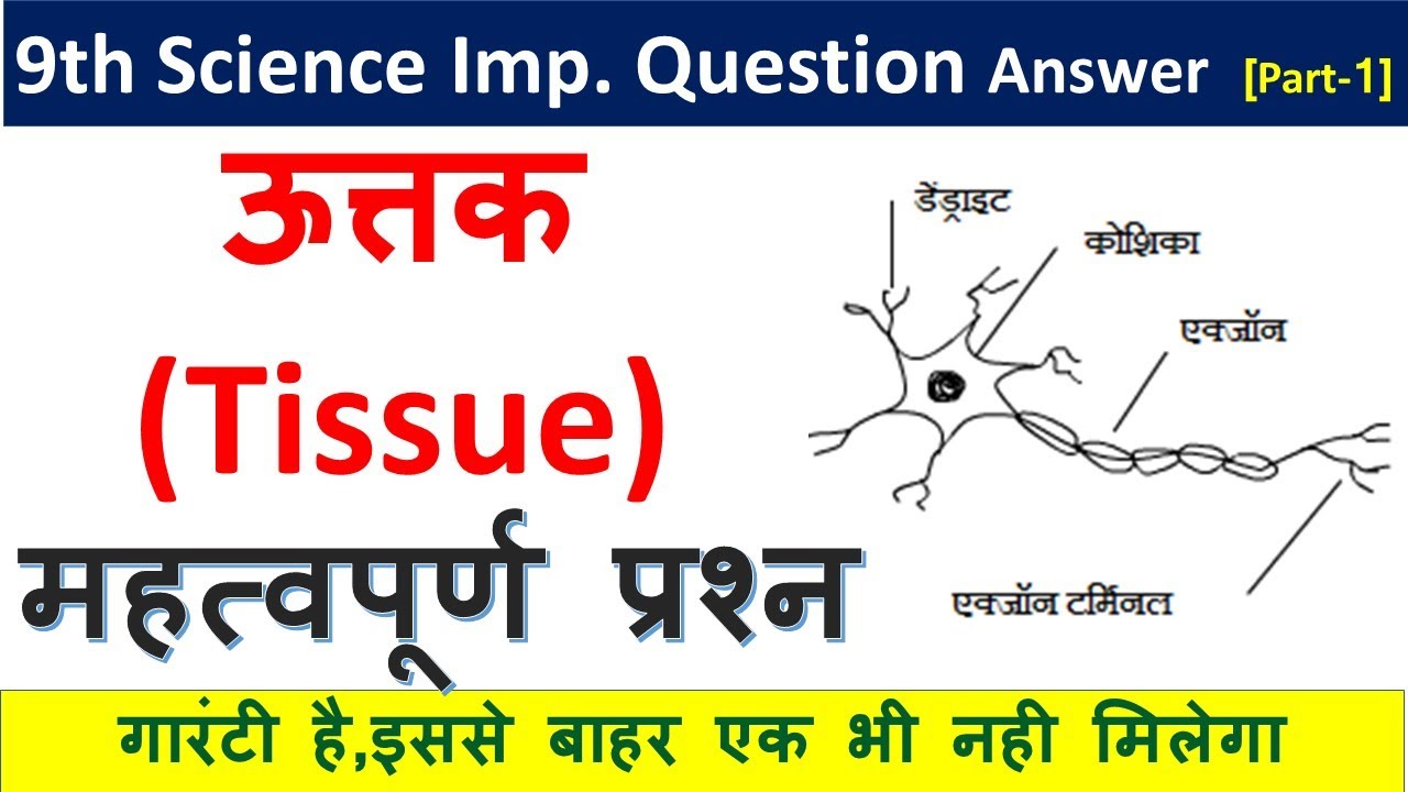Class 9 Science Chapter 6 Important Questions Class 9 Science Chapter class-9-science-chapter-6-important-questions-class-9-science-chapter