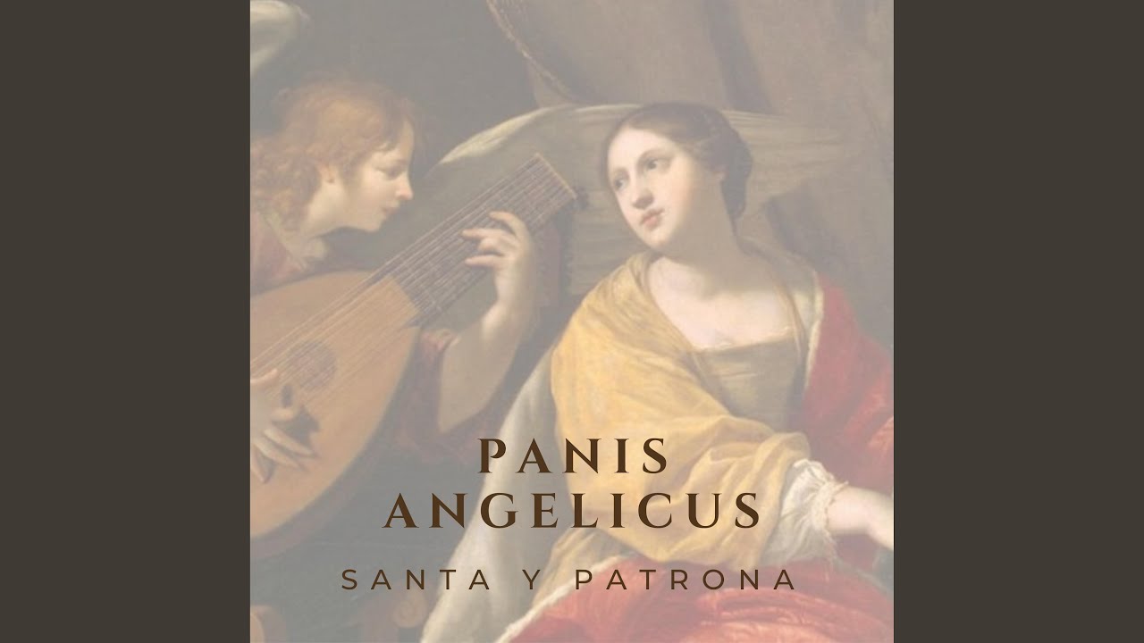 Santa y Patrona - YouTube