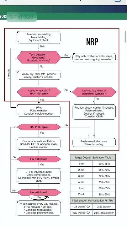 Neonatal resuscitation protocol algorithm #pediatricsbydranand - YouTube