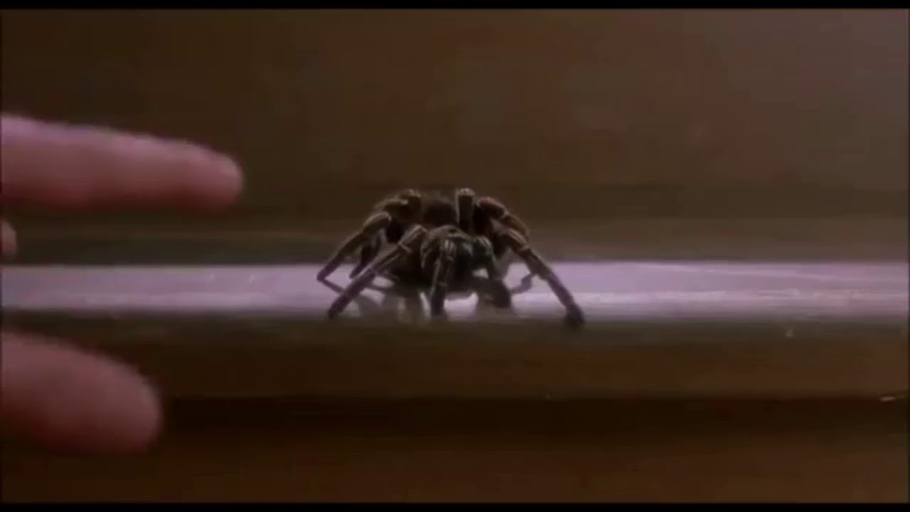 Home Alone Spider (Extra Audio) - YouTube