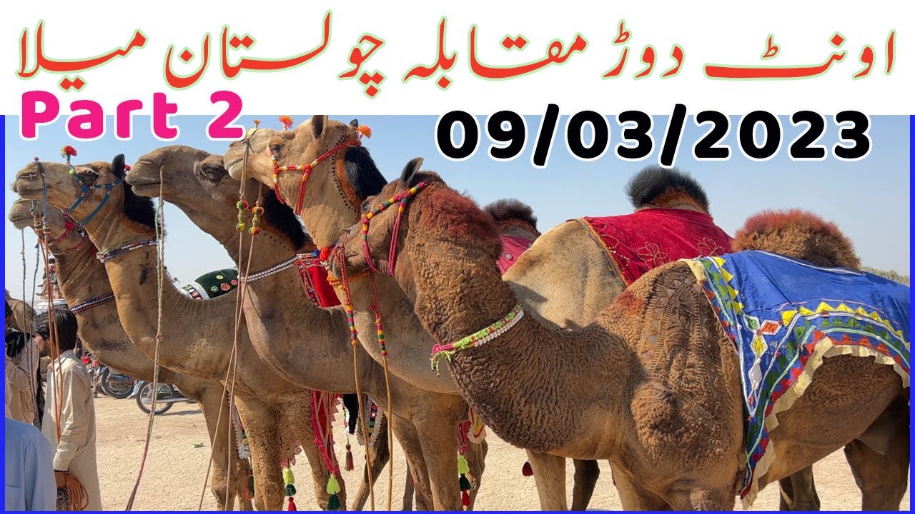 The Race They Couldn't Forget: Channan PIR Festival 2023 Part 2 - YouTube