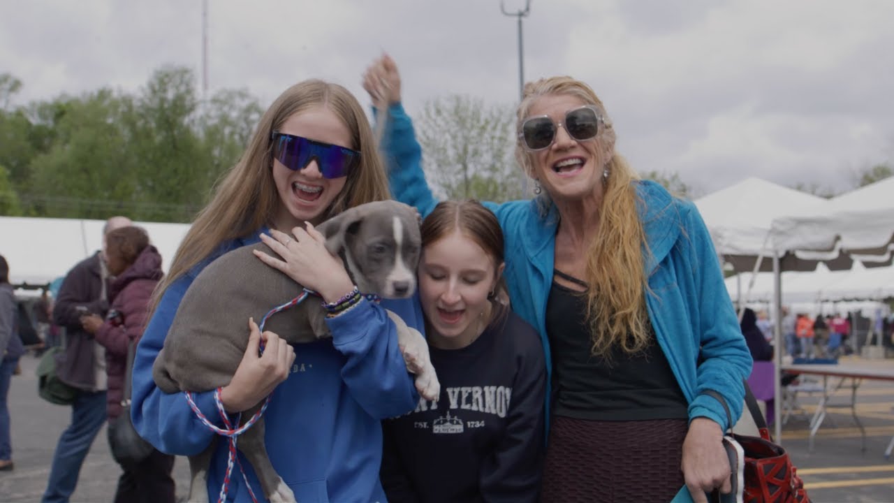 From Strangers to Fur-Ever Friends: The 2023 Meet Your Best Friend ...