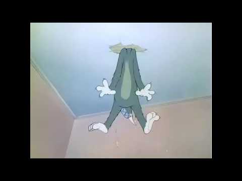 Tom Cat's Head Stuck in the Ceiling for 10 Hours - YouTube