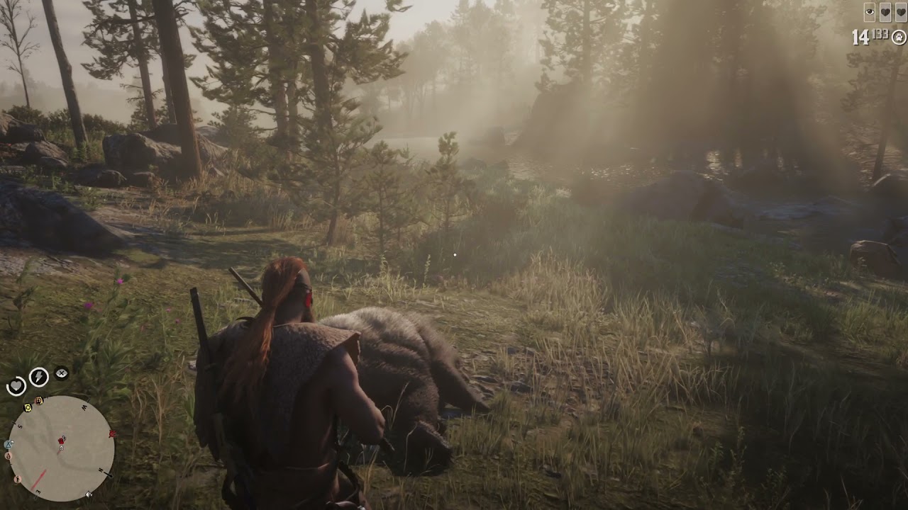 How to tranq a bear in RDO - YouTube