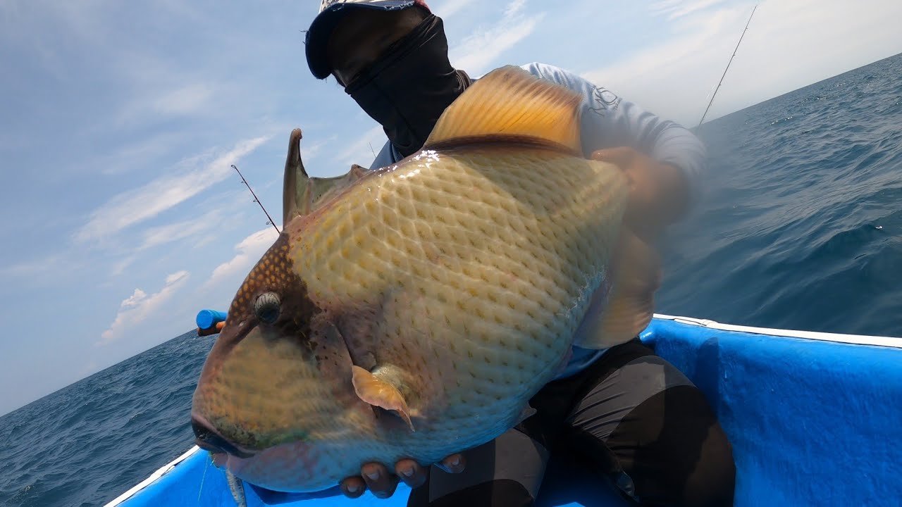 mancing ikan Pogot || berat 4,88 kg - YouTube