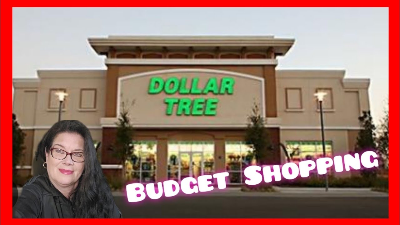 This is how I Stock Up On A BUDGET! Walkthrough Dollar Tree Food Aisle ...