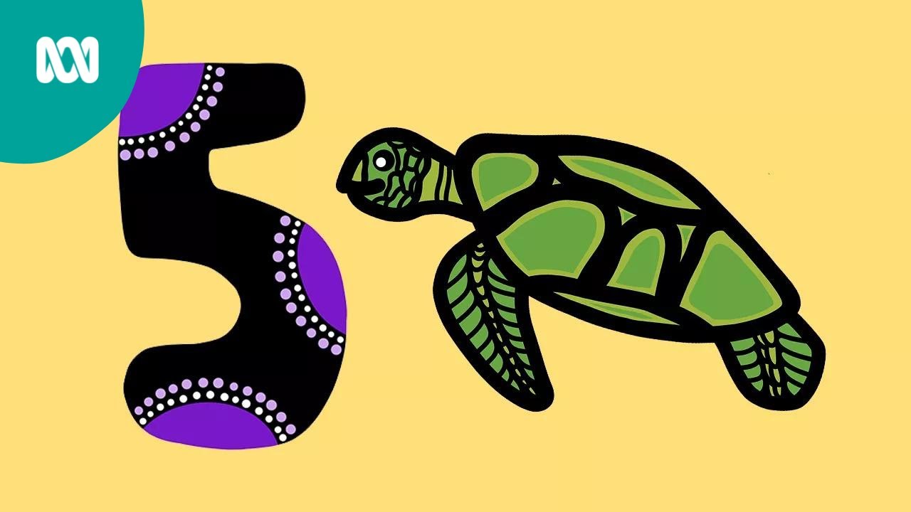 Turtle | Languages of our Land | ABC Kids - YouTube