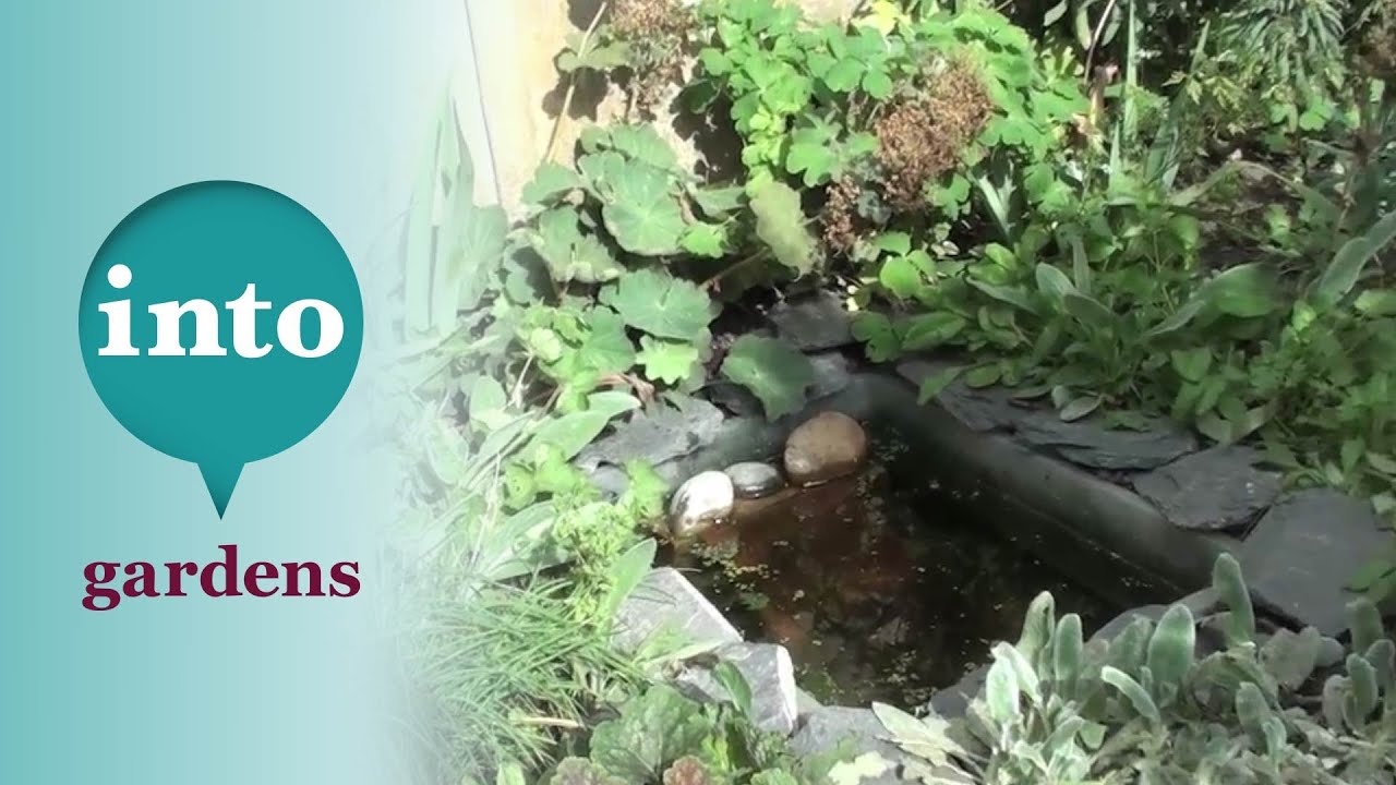 Gardening with Children: Dawn and Archie build a pond - YouTube