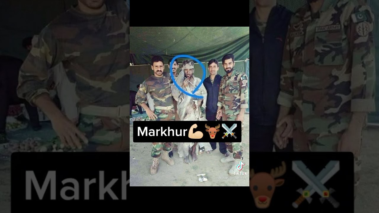 ISI markhor - YouTube
