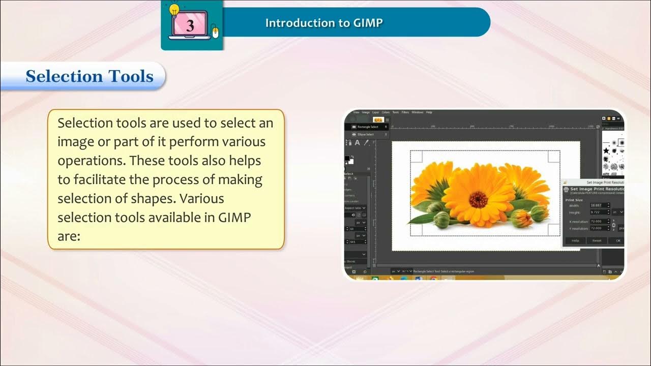 Introduction to GIMP - Kaizen Pro Class 8 - YouTube