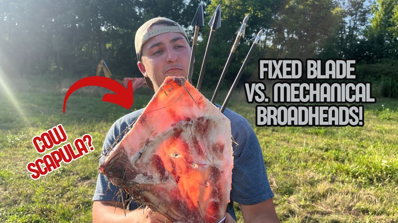 Fixed VS Mechanical BROADHEADS! Heavy BONE IMPACT Test! - YouTube