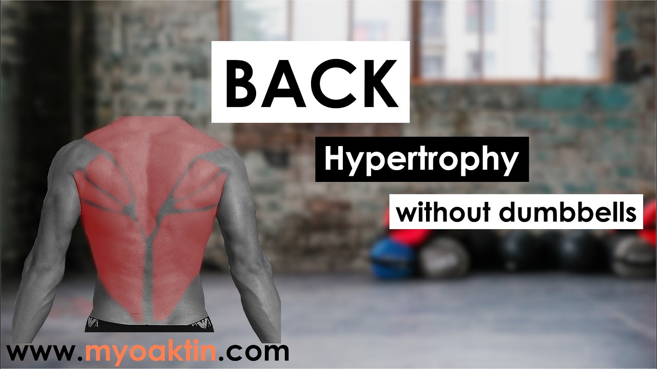 BACK hypertrophy workout without equipment - YouTube