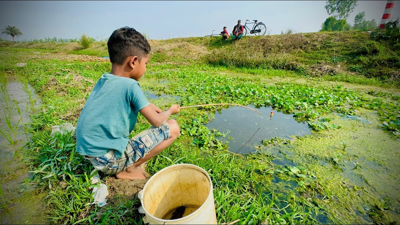Best Fishing Video ️| catching koi fish by rod ~ Traditional hook ...