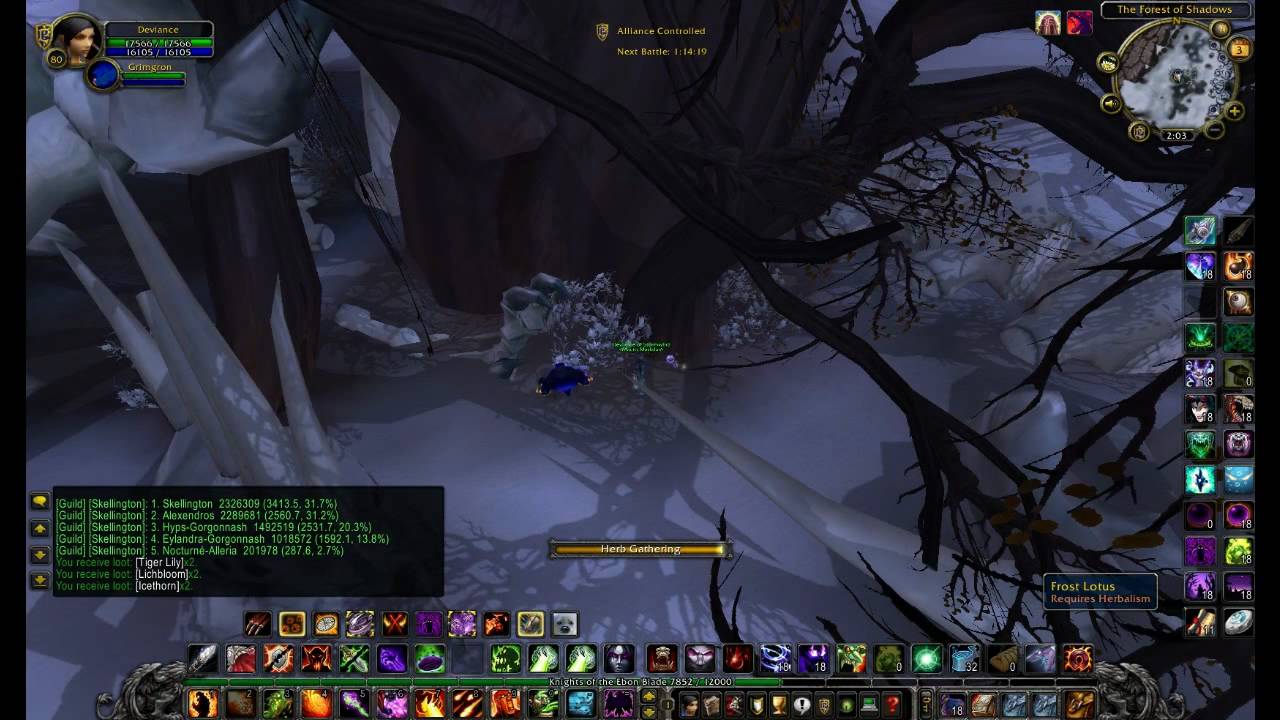 Weed Picker's Guide to Frost Lotus (in Wintergrasp) - YouTube