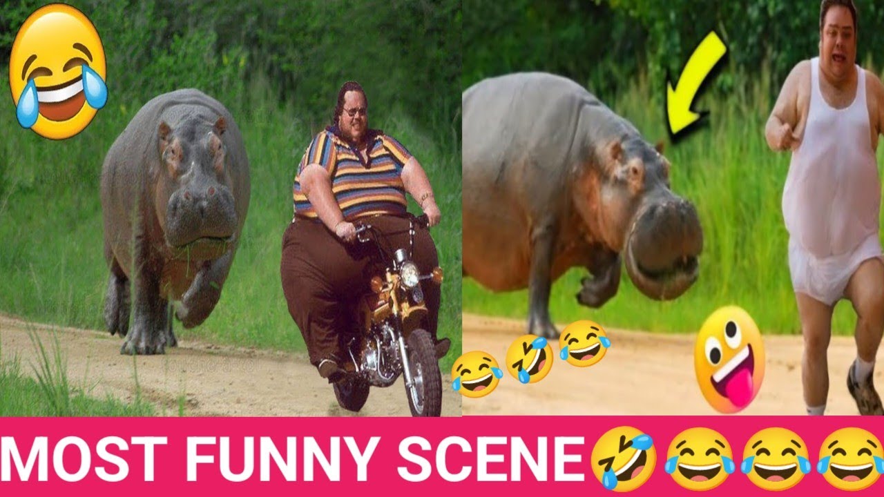 PART 6 ||NEW FUNNY VIDEO SCENE||VIRAL VIDEO||😂🤣 #funny #fails #viral # ...